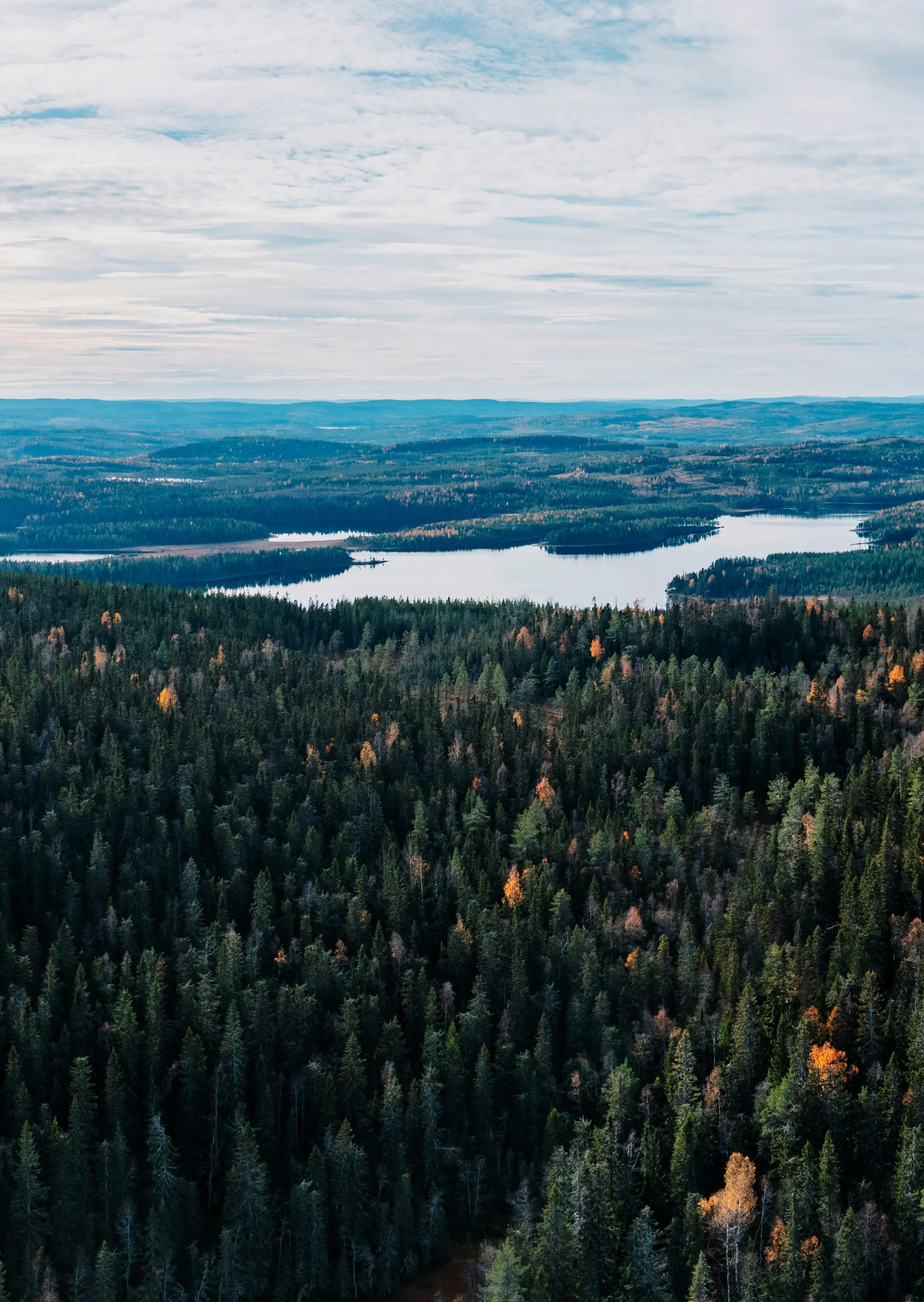 Down to Earth | Nordic Sustainable Construction